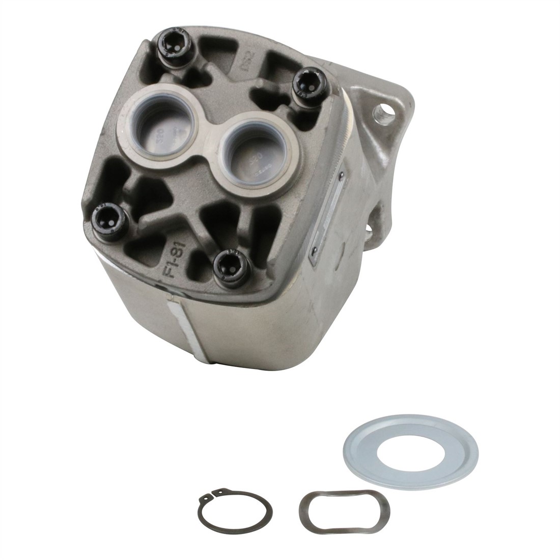 PLUNGER MOTOR F1-025-M